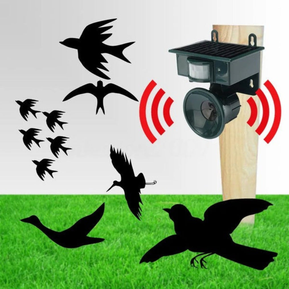 Motion Sensor Bird Deterrent for Crows: Ideal Pigeon Repeller with Sou ...